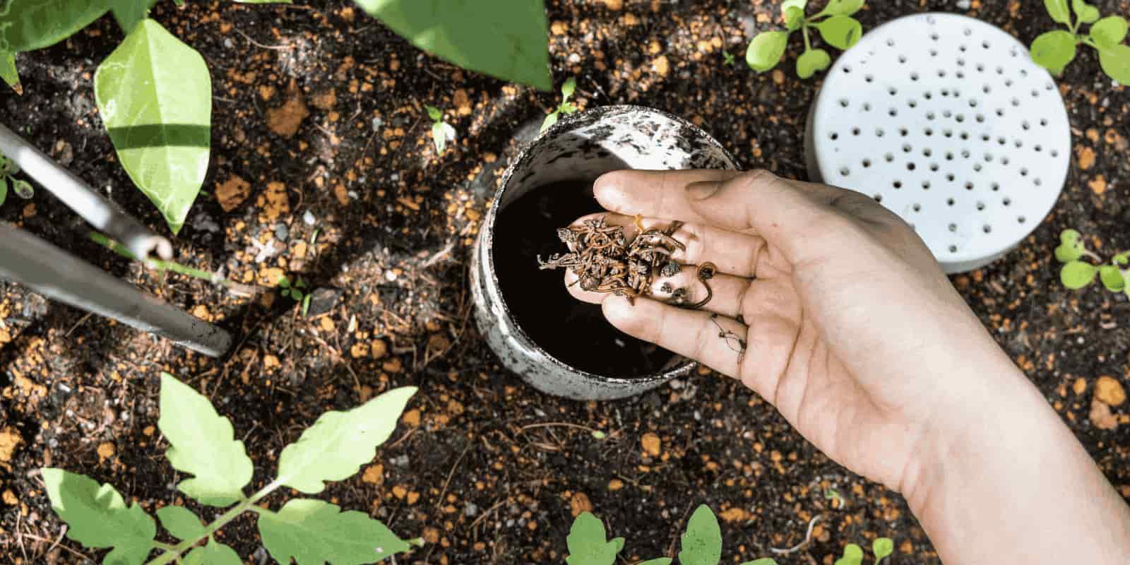 ¿Qué es el Compost? 5 Tipos de Compostaje | Cero Residuo